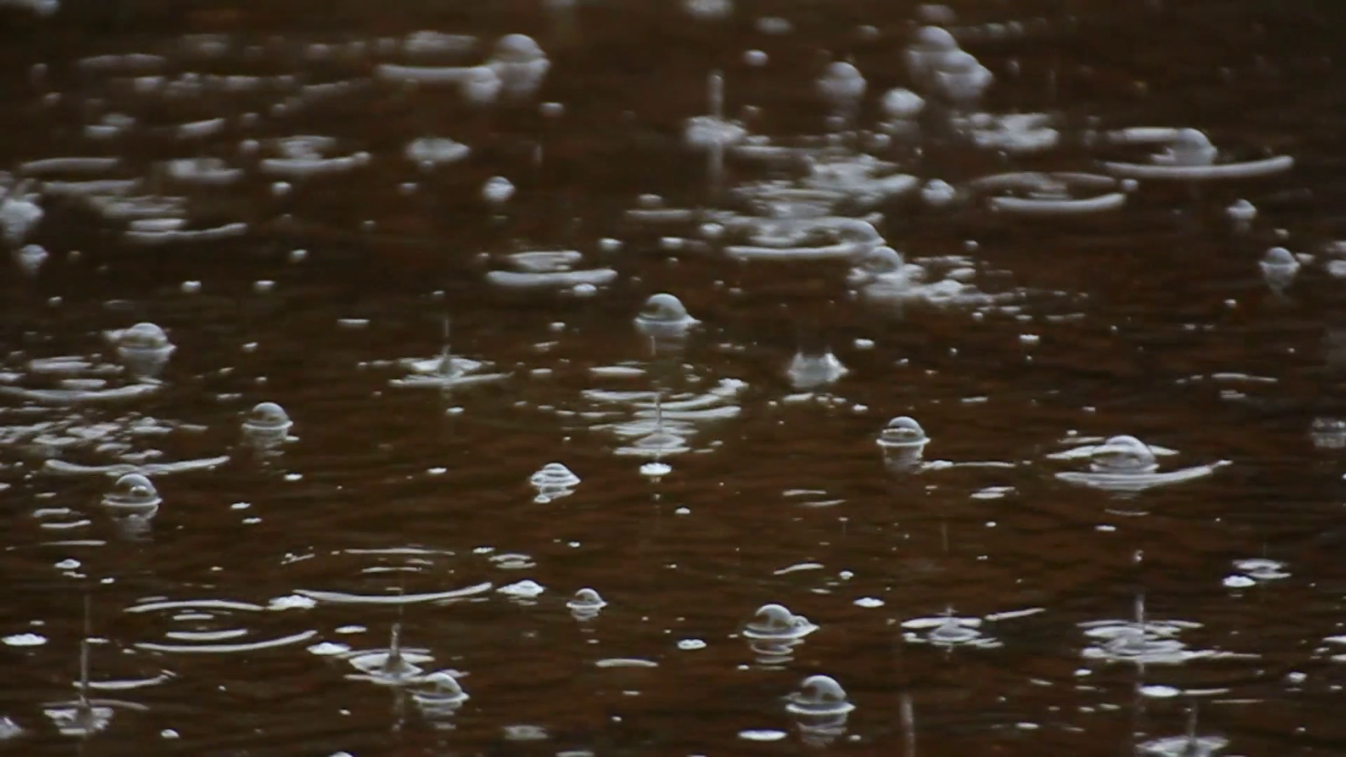 Heavy Rain Drops On Pavement - Slow Motion Stock Footage SBV-348736055 ...