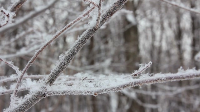 Winter Closeup Stock Footage: Royalty-Free Video Clips - Page 2 ...