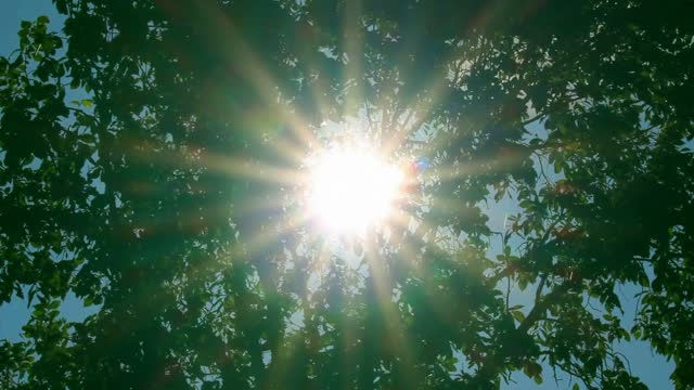 Sunlight Sun Stock Footage: Royalty-Free Video Clips - Storyblocks