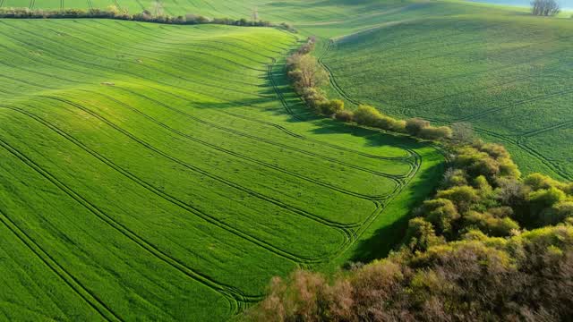 Stock Footage: Royalty-Free Video Clips - Storyblocks