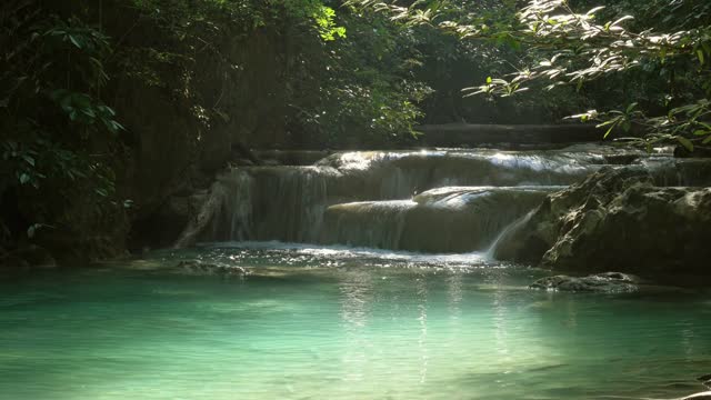 Lucky Thai Fish Stock Footage: Royalty-Free Video Clips - Storyblocks