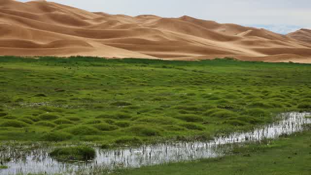 Asian Steppe Stock Footage: Royalty-Free Video Clips - Storyblocks
