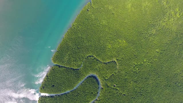 Stock Footage: Royalty-Free Video Clips - Storyblocks