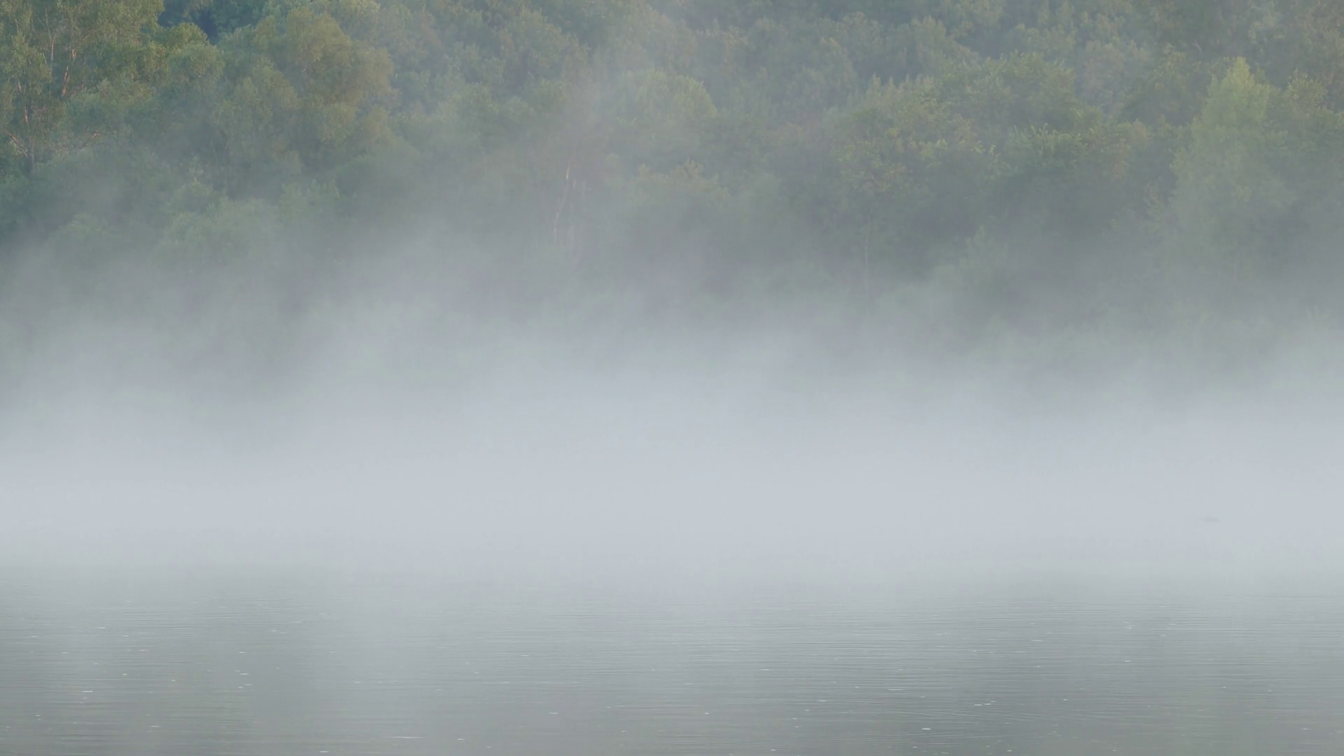 Landscape With River In Fog 4k Stock Footage SBV-347798365 - Storyblocks