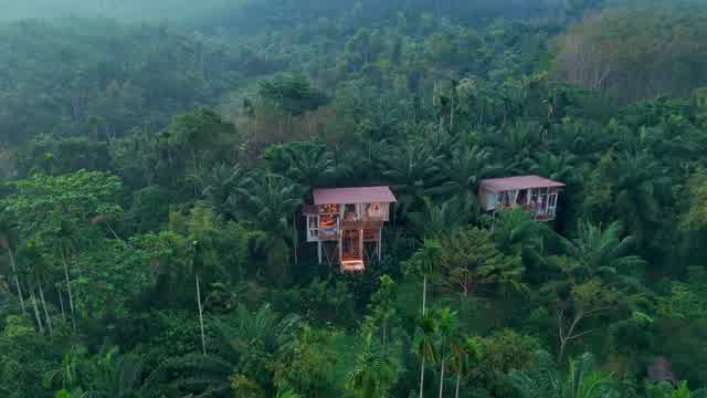 Hideaway Stock Footage: Royalty-Free Video Clips - Storyblocks