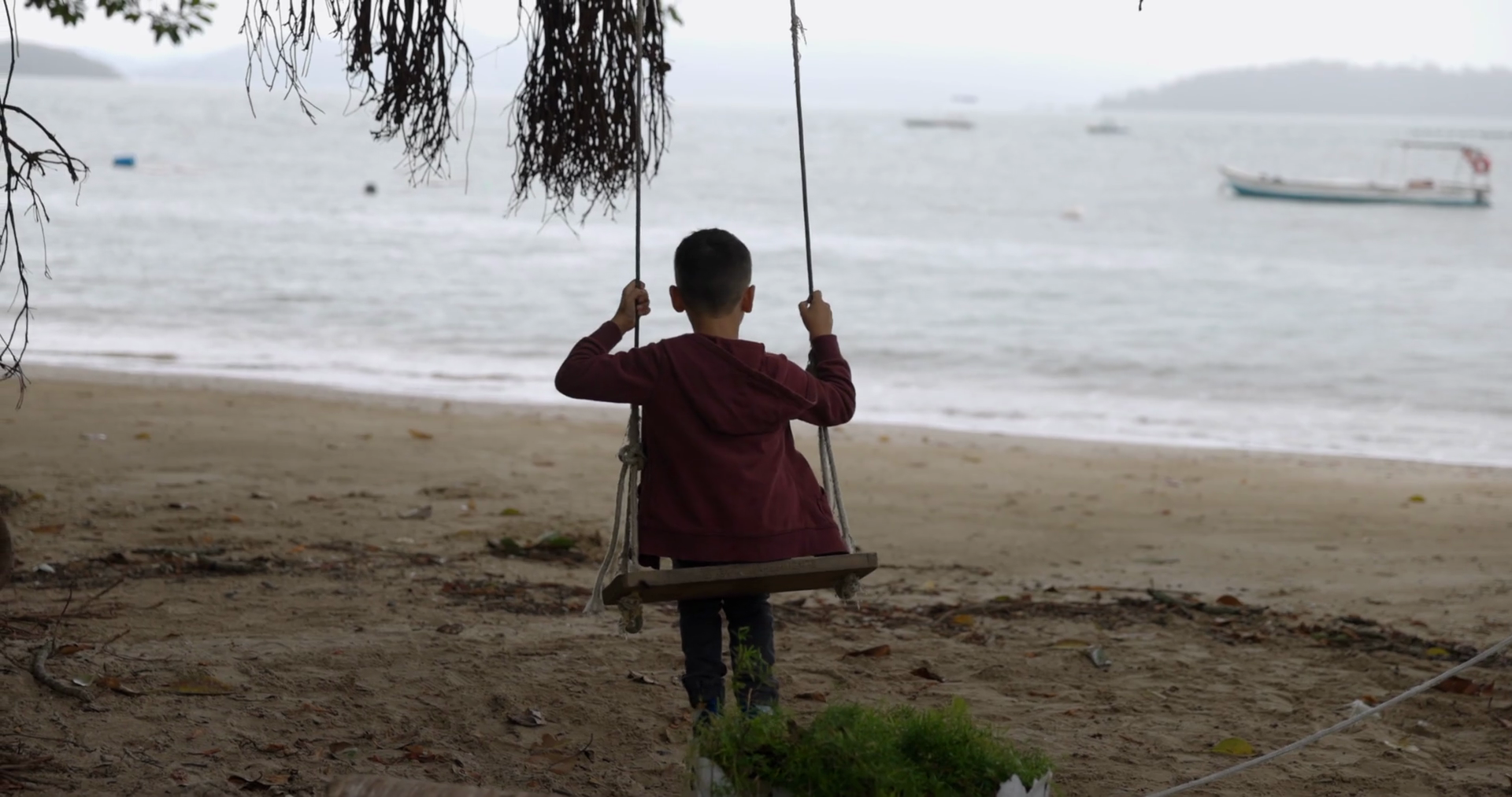 Boy Swings On Tree Swing Overlooking Ocean Stock Footage SBV-347650128 ...