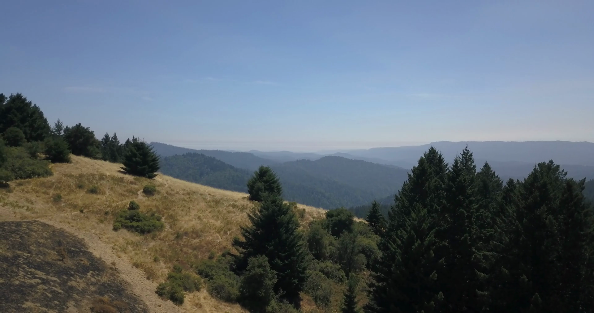 Dry Forested Area On Hot Summers Day: Aerial Stock Footage SBV-347707183 - Storyblocks