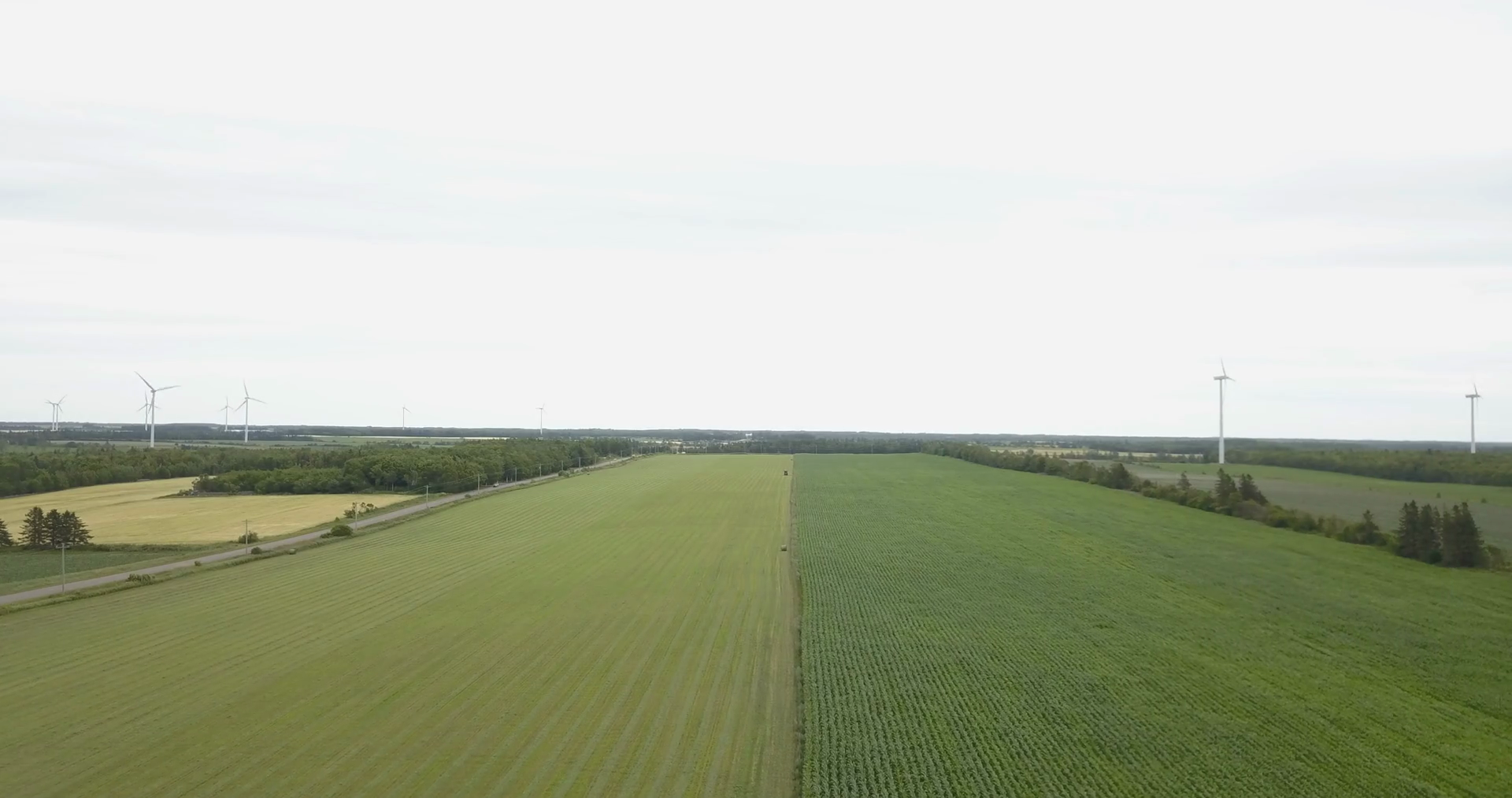 Farmers Field Half Way Through Harvest Stock Footage SBV-347705916 ...