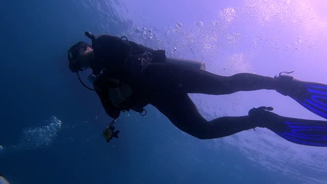 Underwater Diving Stock Footage: Royalty-Free Video Clips - Storyblocks