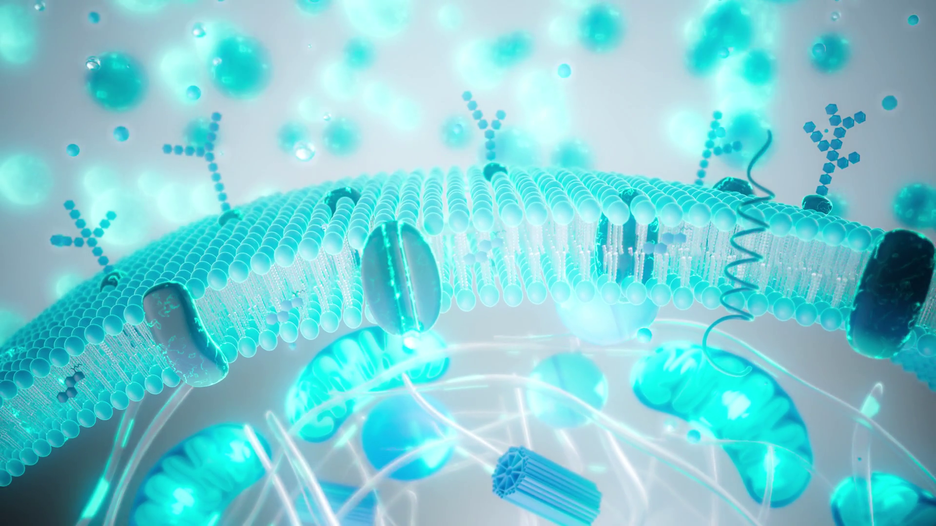 Conceptual Animation Of Cell Plasma Membrane Stock Footage SBV ...