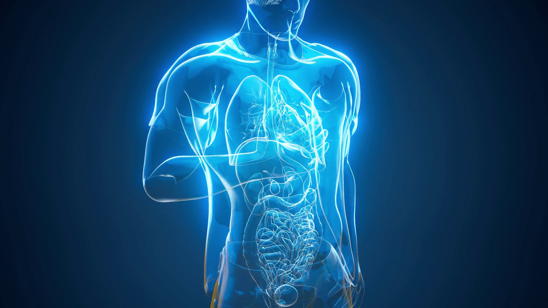 Conceptual Animation Of Man's Anatomy Stock Footage SBV-351737056 ...