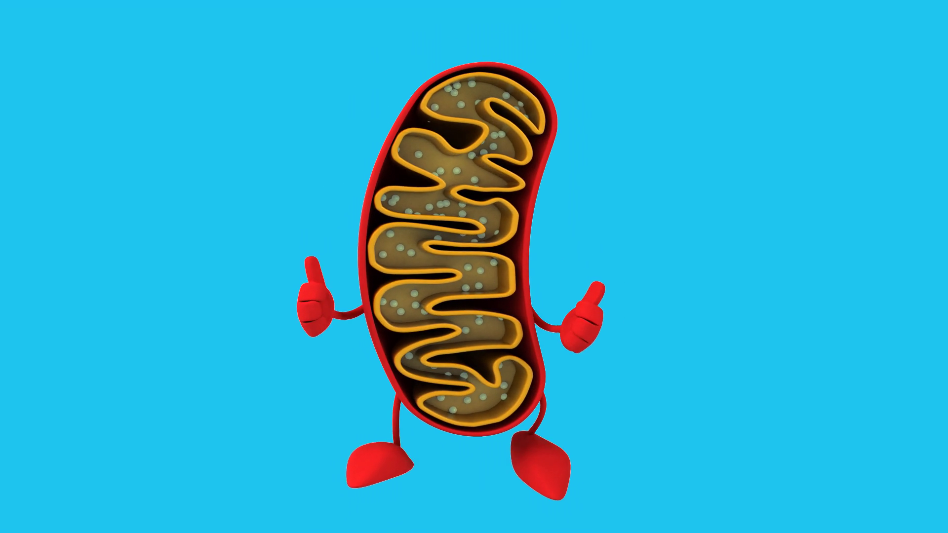 Fun 3d Cartoon Mitochondria (with Alpha Stock Footage SBV-351940874 ...