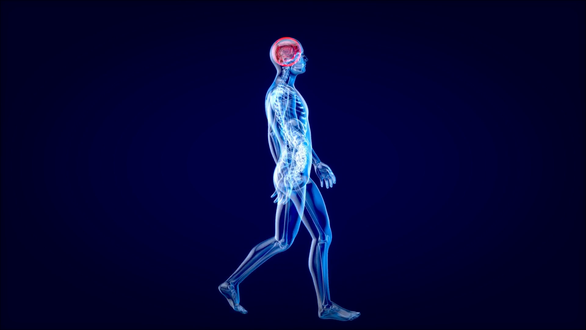 4K Anatomy concept of a Xray man walking Stock Video Footage 00:11 SBV ...
