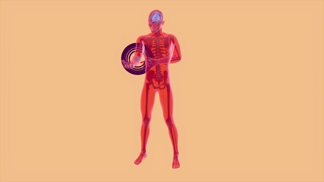 Medical Animation Body Pain Stock Footage: Royalty-Free Video Clips ...
