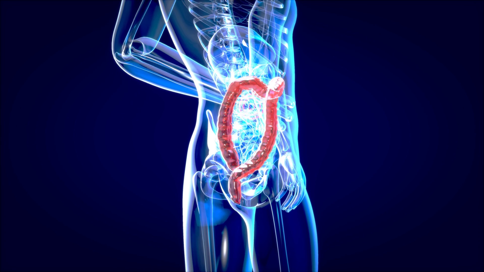 4K Anatomy concept of the Gut Stock Video Footage 00:10 SBV-346398835 ...