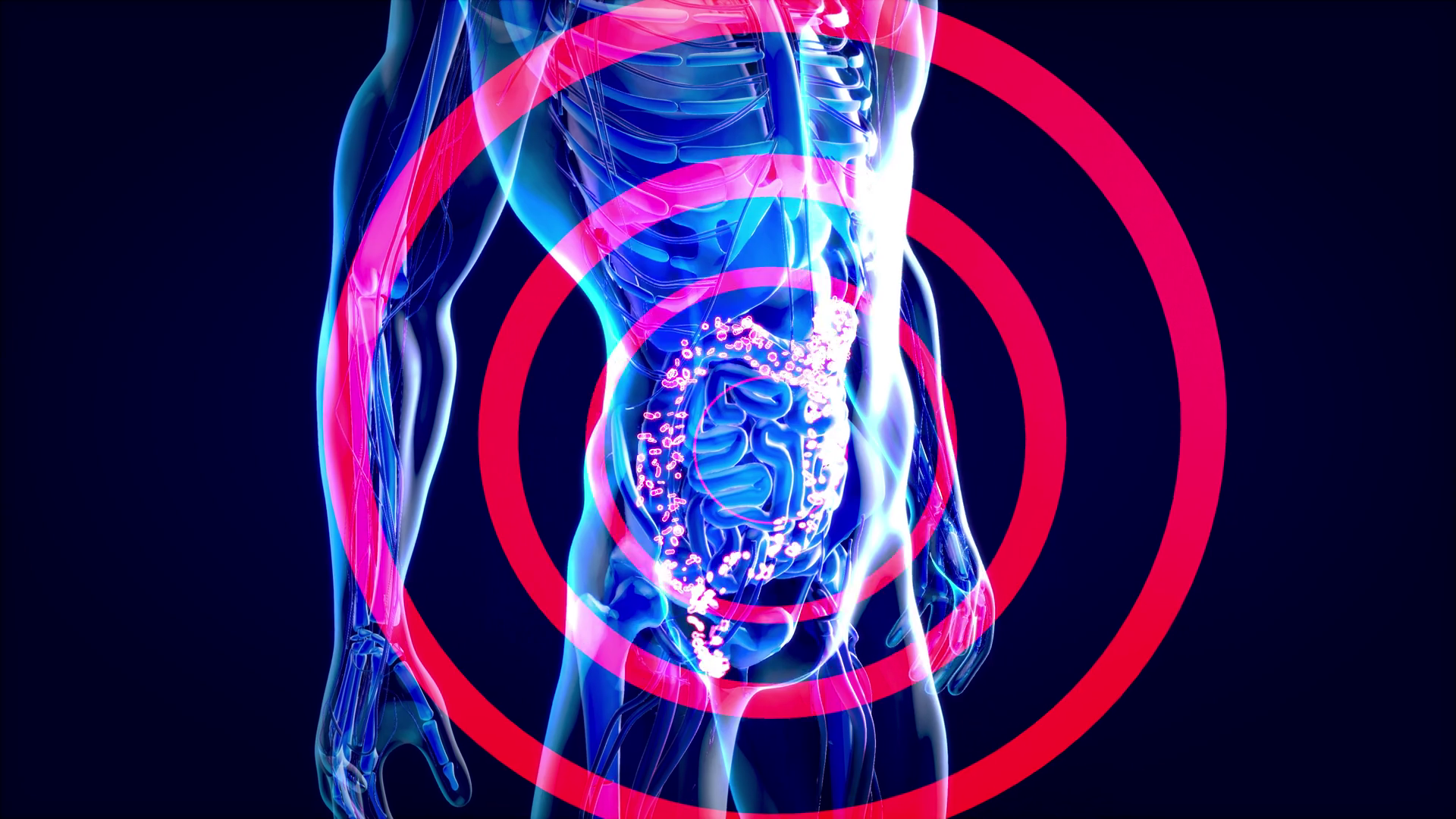 4k Abstract Animation Of Gut Microbiome Stock Motion Graphics SBV ...