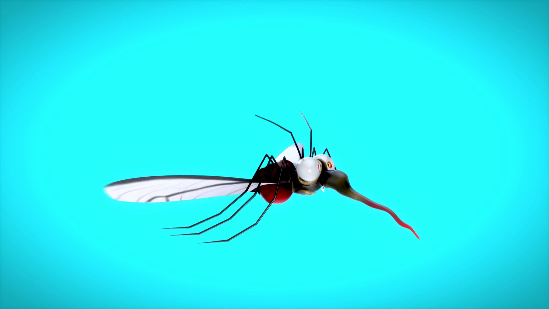 Fun Mosquitoes - 3d Animation Stock Footage SBV-336088359 - Storyblocks