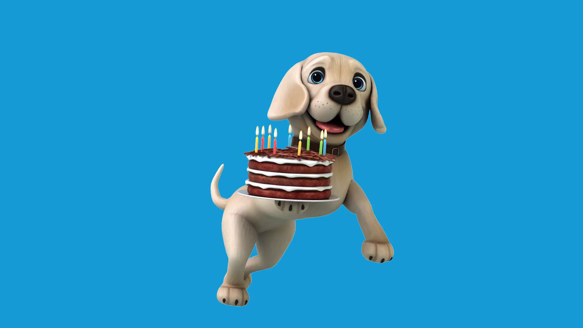 Fun 3d Cartoon White Labrador Retriever Stock Motion Graphics SBV ...