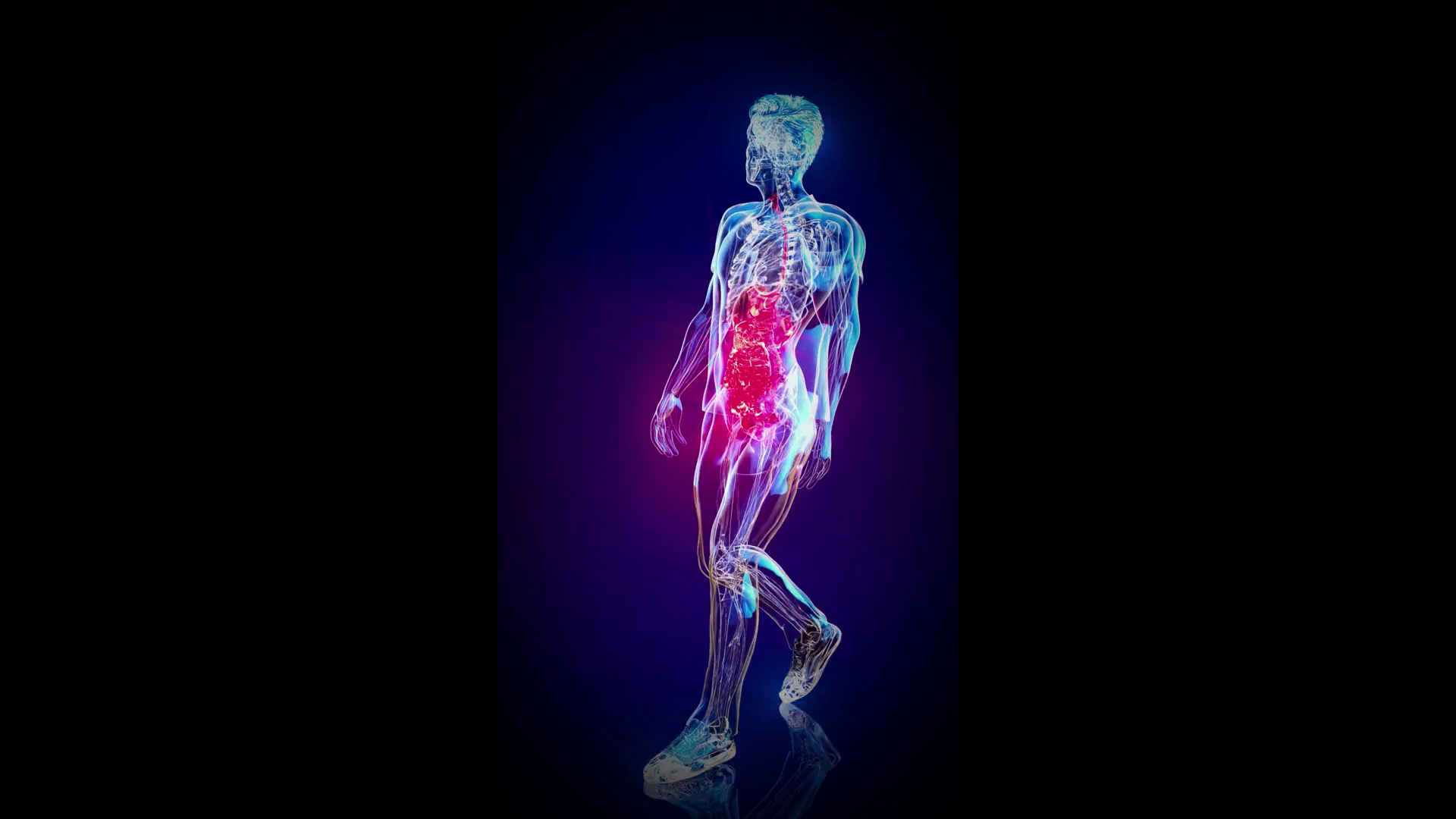 Conceptual Vertical 3d Animation Of Man Gut Stock Motion Graphics SBV ...
