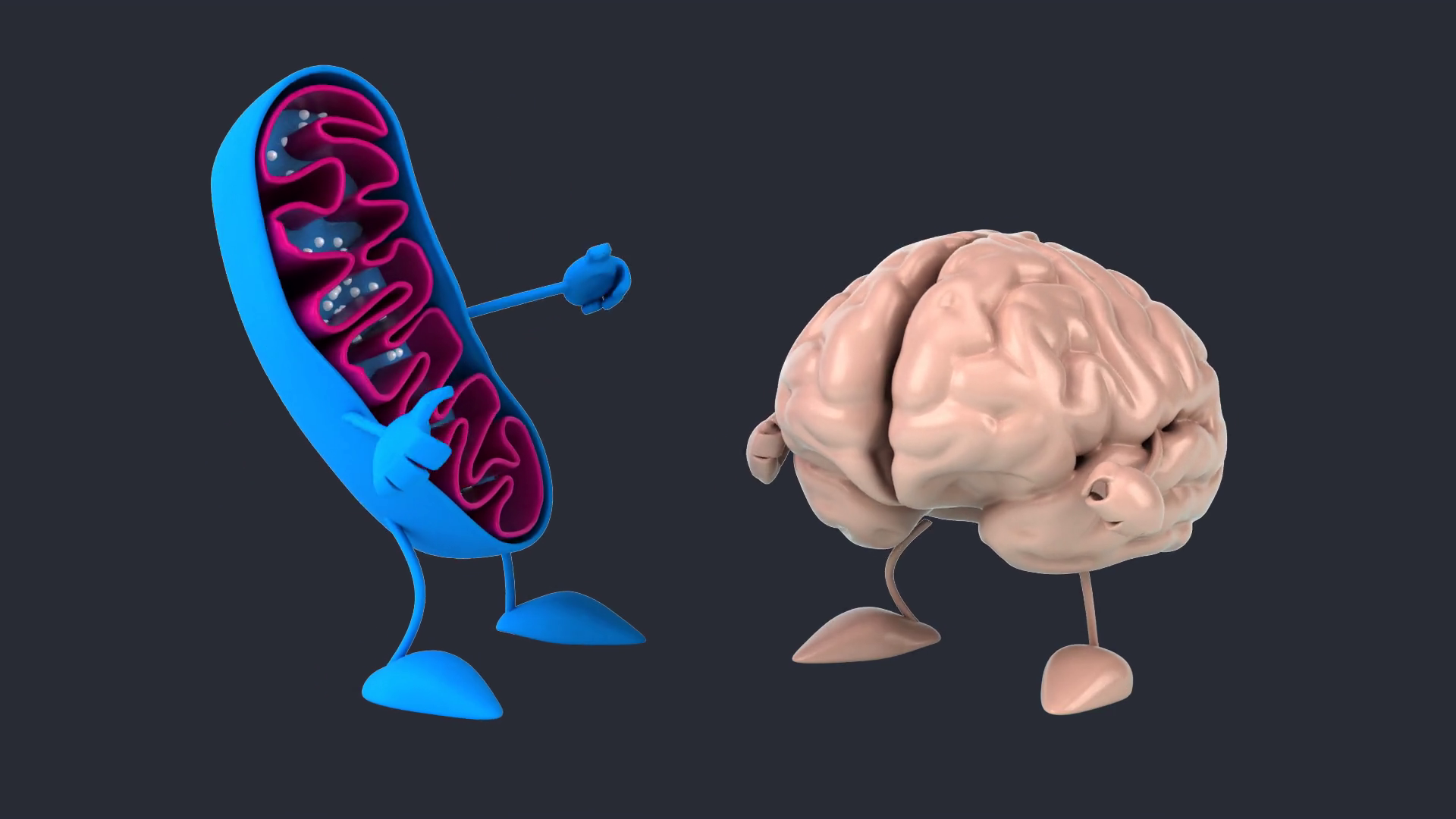 Fun 3d Cartoon Mitochondria Brain (with Stock Motion Graphics SBV ...
