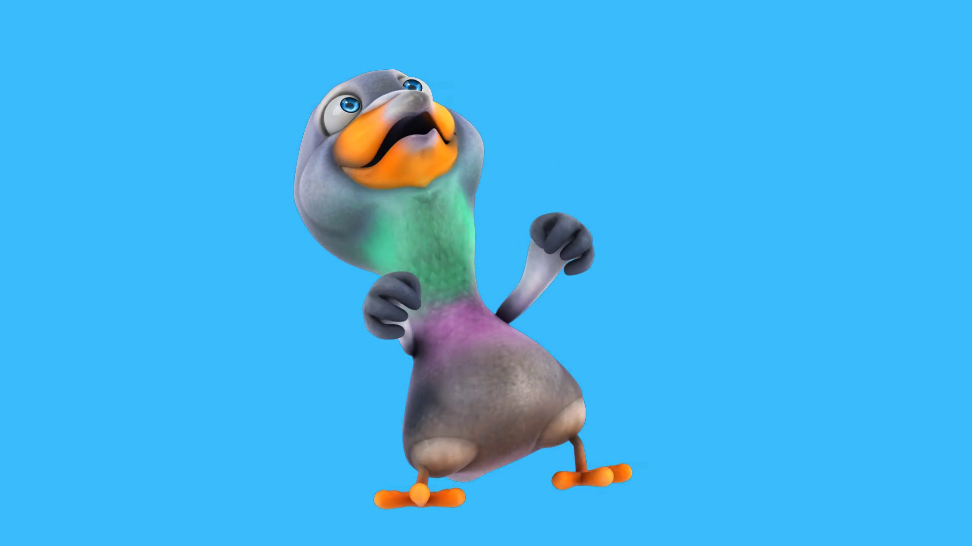 Fun 3d Cartoon Pigeon Dancing (with Alpha Stock Motion Graphics SBV ...