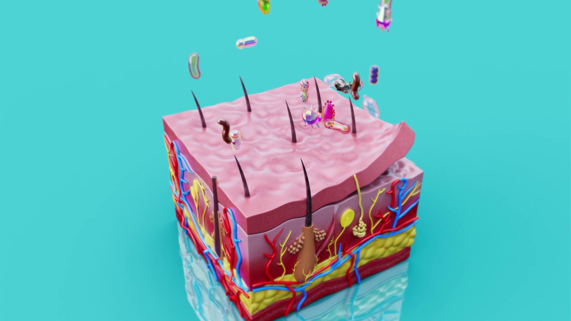 4k Abstract Animation Of Skin Protection Stock Motion Graphics SBV ...