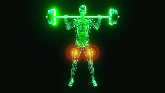 Muscle Anatomy Stock Footage: Royalty-Free Video Clips - Storyblocks