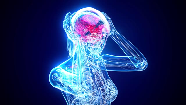 Download 794 Brain Motion Backgrounds - Storyblocks