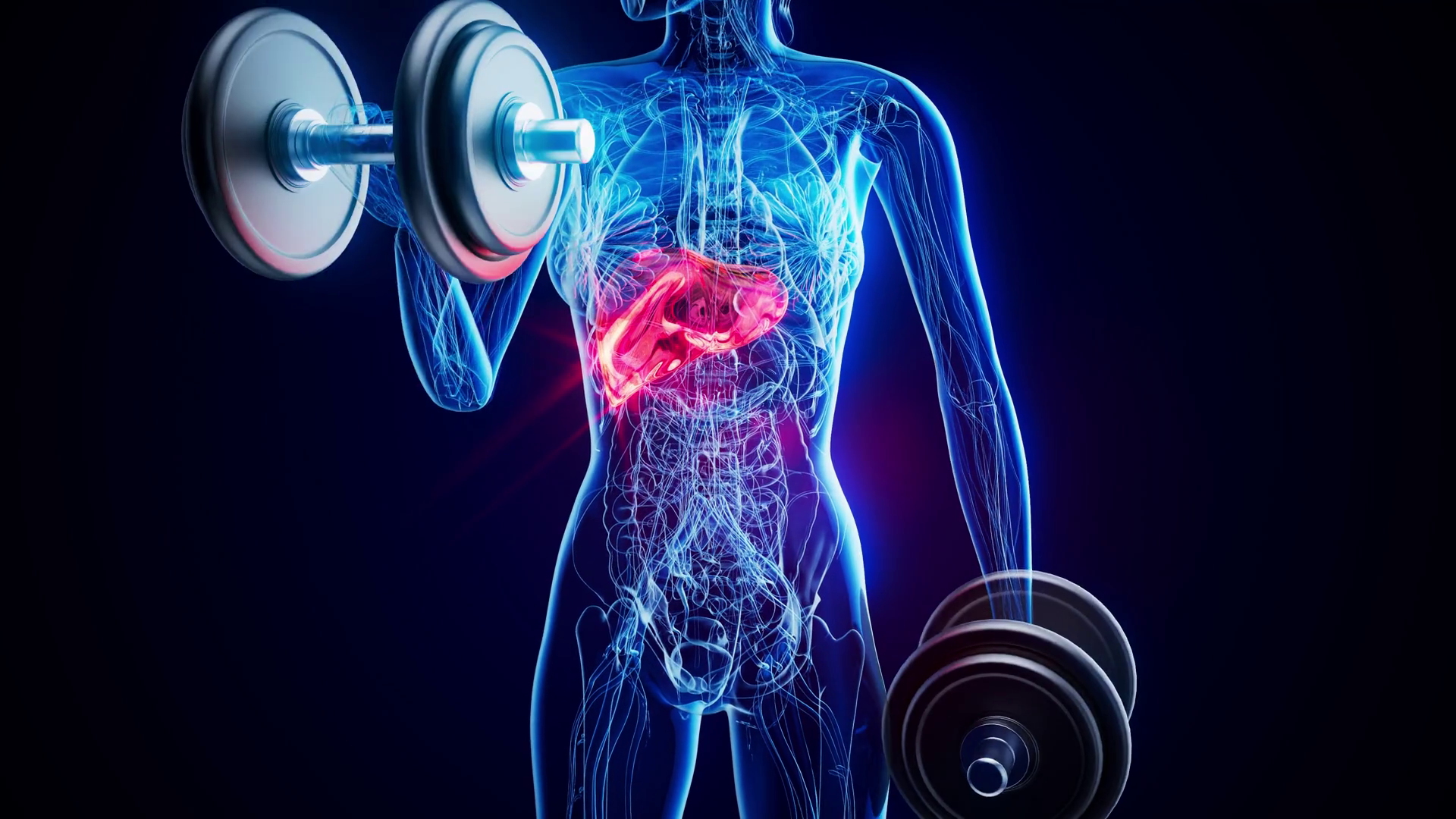 4k Anatomy View Of Liver Of Woman Lifting Stock Motion Graphics SBV ...