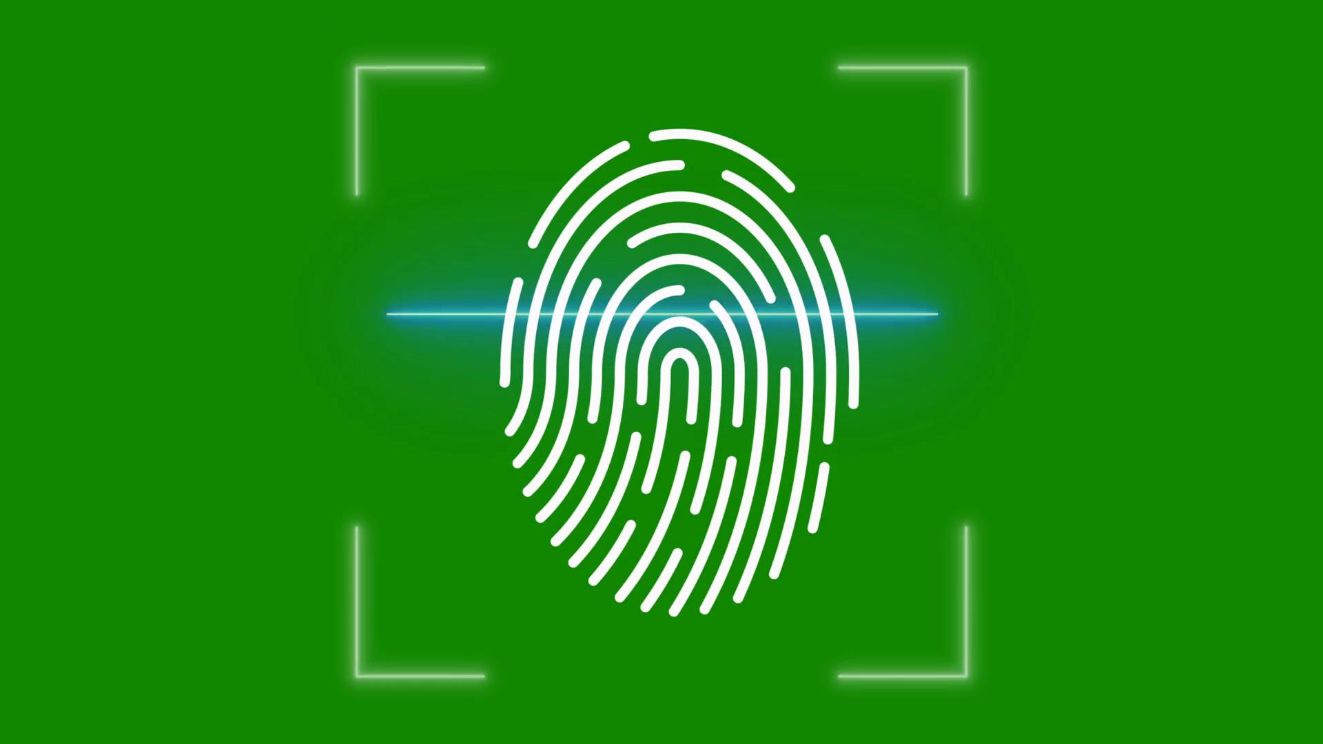 Fingerprint Scanner Animation On Green Stock Motion Graphics SBV-348487485 - Storyblocks