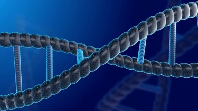 Dna Animation Stock Footage: Royalty-Free Video Clips - Storyblocks
