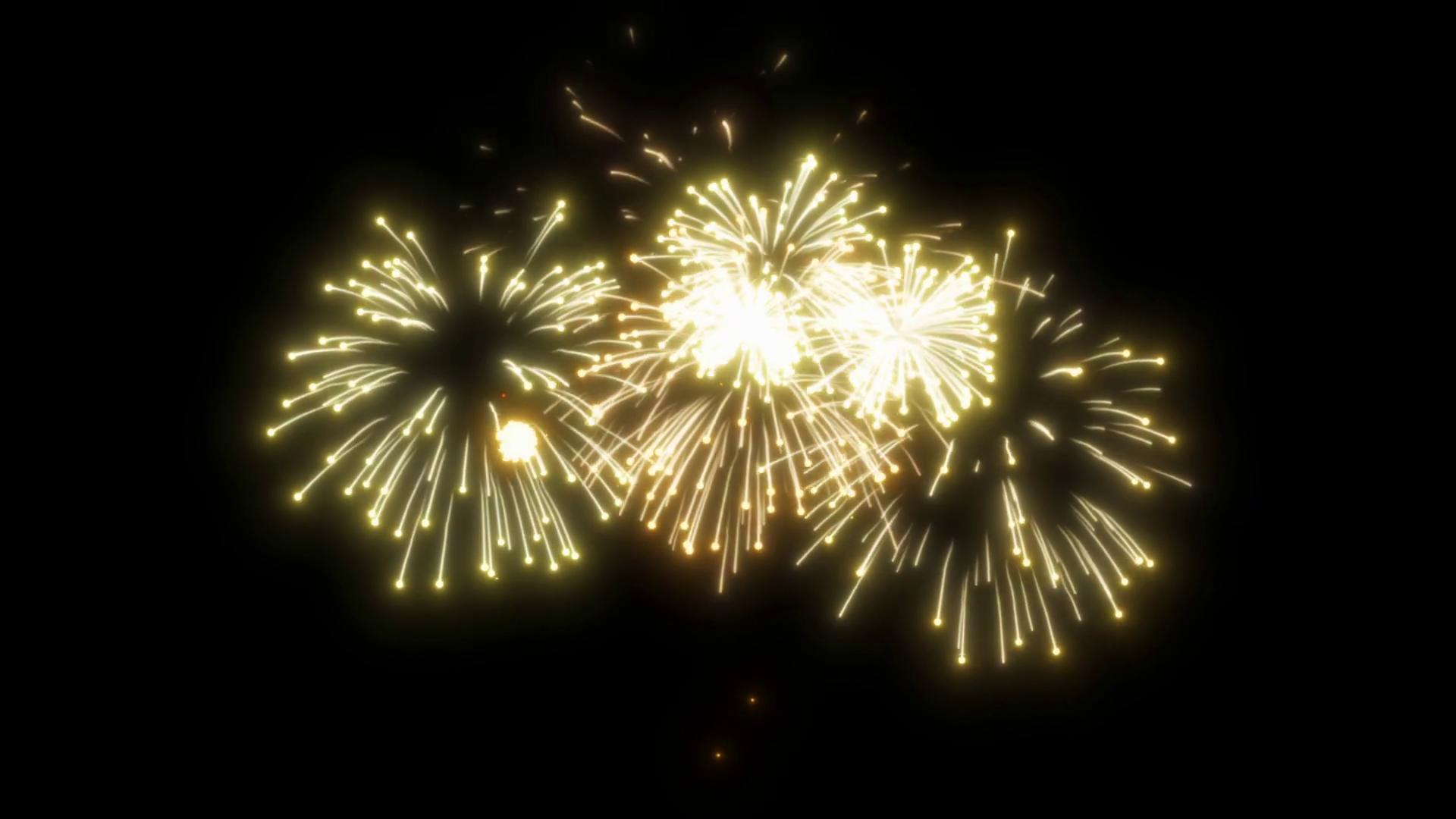 Fireworks In Night Sky Firework Celebration Stock Motion Graphics SBV ...