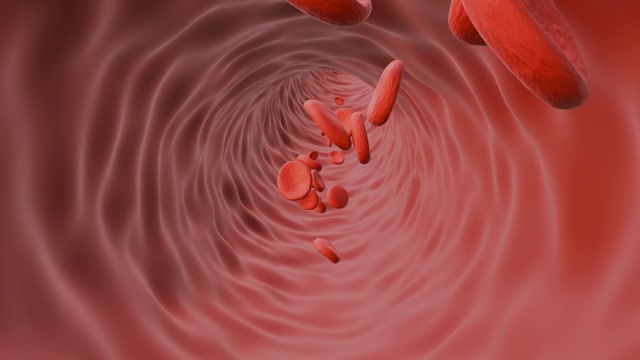 Download 131 Blood Alpha Motion Backgrounds - Storyblocks