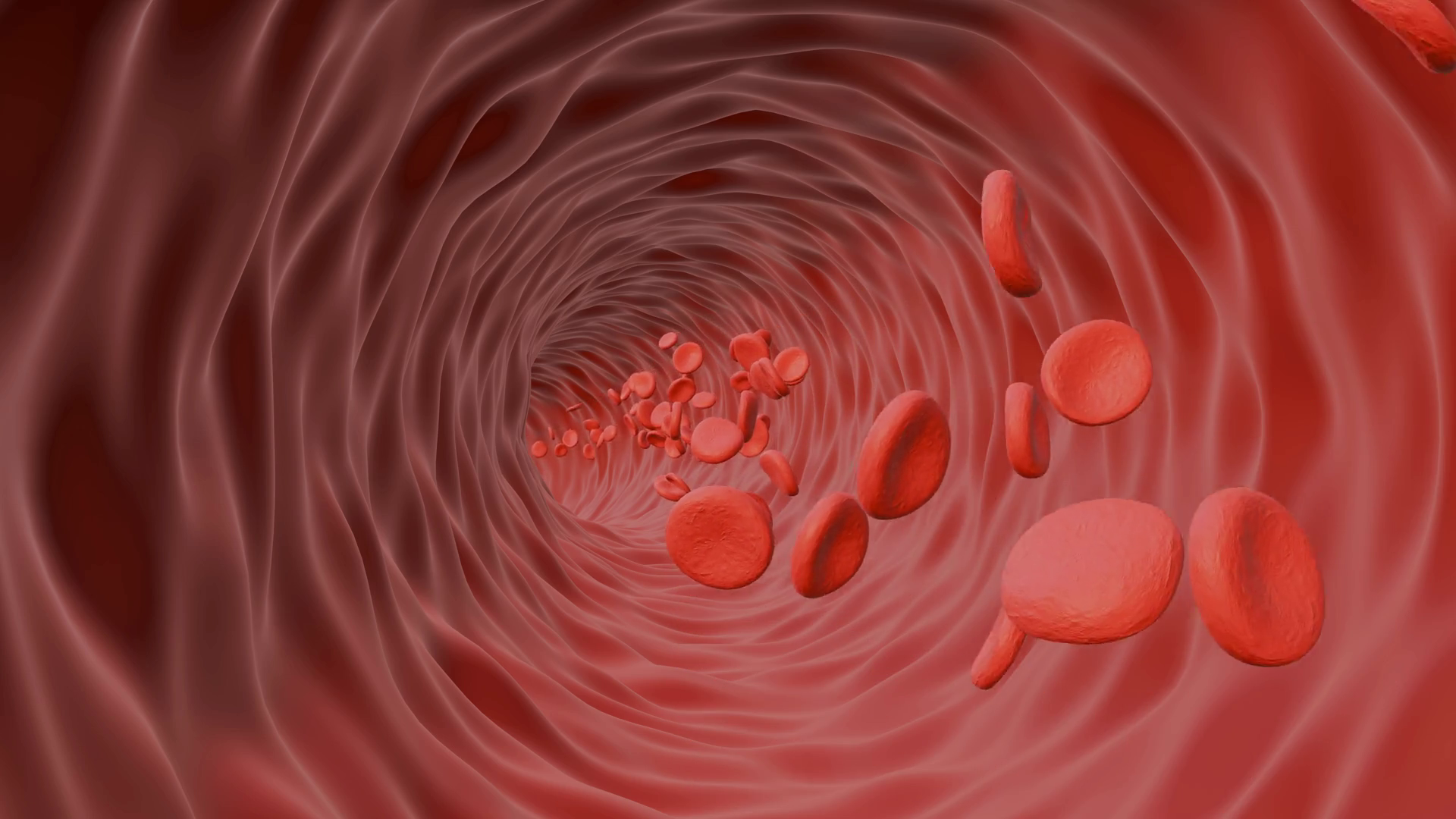 Red Blood Cells Flow In Vein Animation Full Stock Motion Graphics SBV ...
