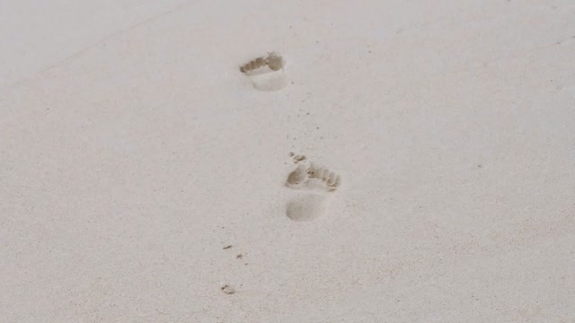 Footsteps Animation Stock Footage: Royalty-Free Video Clips - Storyblocks
