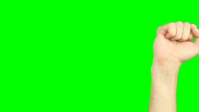 Punch Green Screen Stock Footage: Royalty-Free Video Clips - Storyblocks