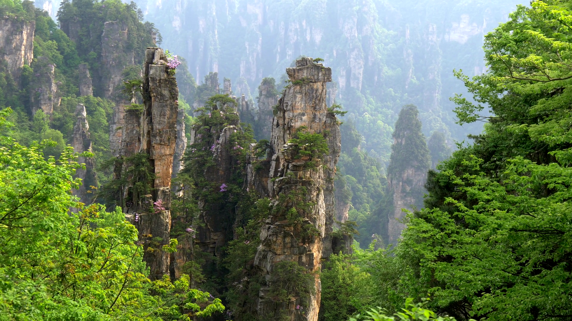 Vertical Cliffs In Avatar Mountains In Stock Footage SBV-352228619 ...