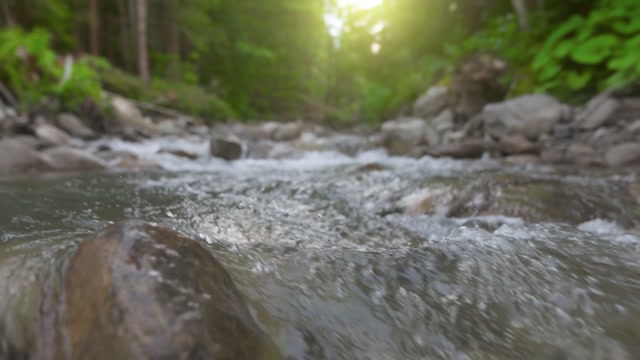 Stream Of Water | Nature stock footage - Storyblocks