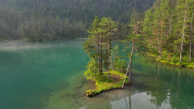 Forest Island Stock Footage: Royalty-Free Video Clips - Storyblocks
