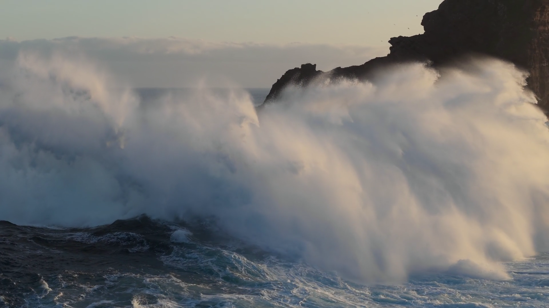 Big Ocean Wave Rising Breaks In Warm Morning Stock Footage SBV ...