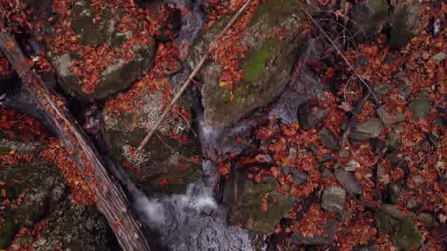 Creek Drone Stock Footage: Royalty-Free Video Clips - Storyblocks