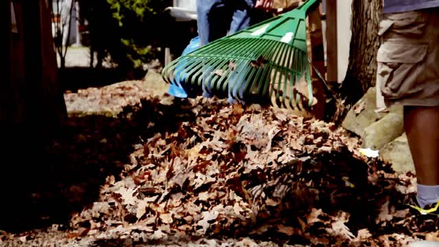 Leaf Blower Face Stock Footage: Royalty-Free Video Clips - Storyblocks