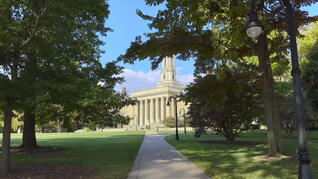 Main Stock Footage: Royalty-Free Video Clips - Storyblocks