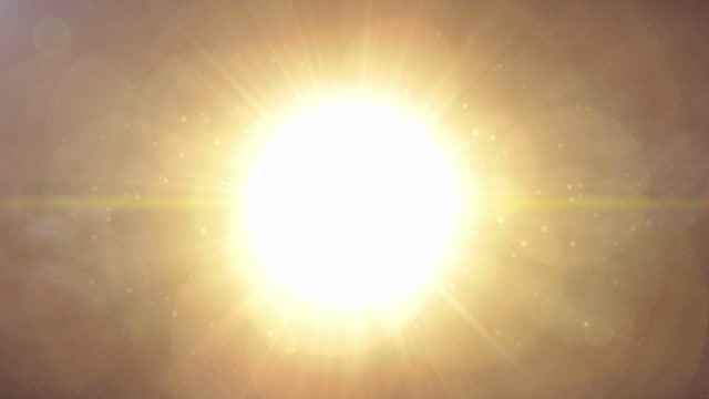 Evolution Of Life Stock Footage: Royalty-Free Video Clips - Storyblocks