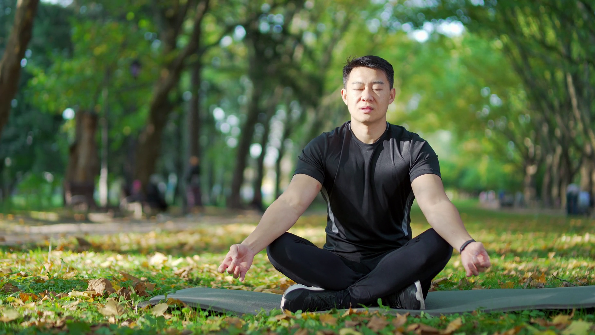 Adult Asian Man Meditating In Lotus Position Stock Footage SBV ...