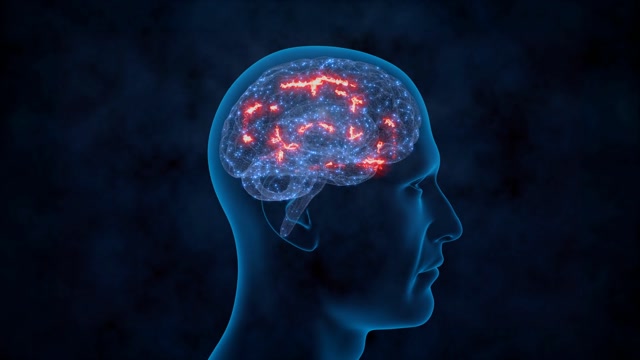 Download 794 Brain Motion Backgrounds - Storyblocks