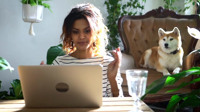 Using Computer | Animals stock footage - Storyblocks