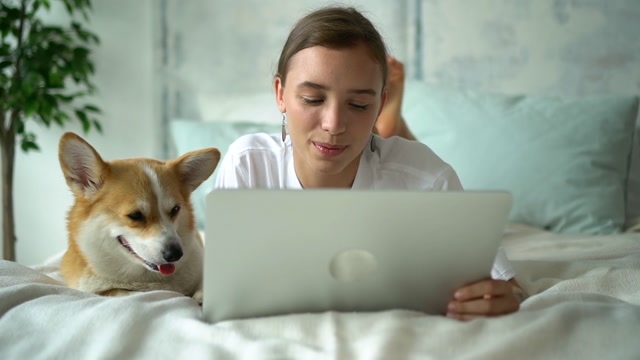 Computer | Animals stock footage - Storyblocks
