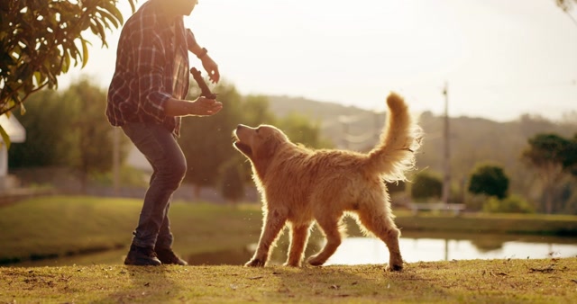 Happy Russian Friends Playing Stock Footage: Royalty-Free Video Clips ...