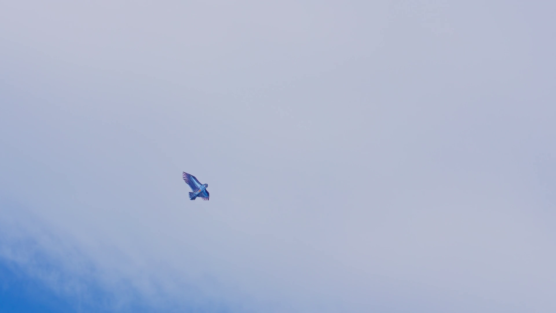 Blue White Airplane Soaring Through Clouds Stock Footage SBV-348400107 ...